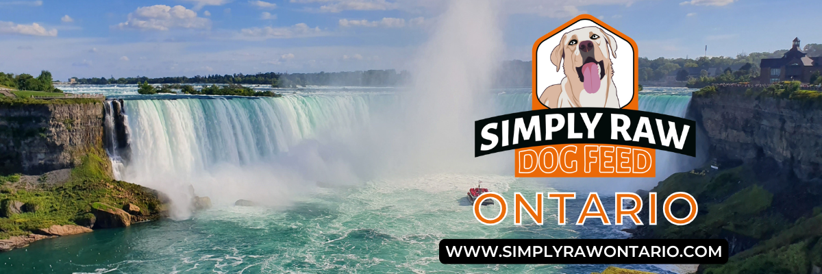 Simply Raw Ontario. Affordable, Premium Raw Dog Food. Free Delivery.